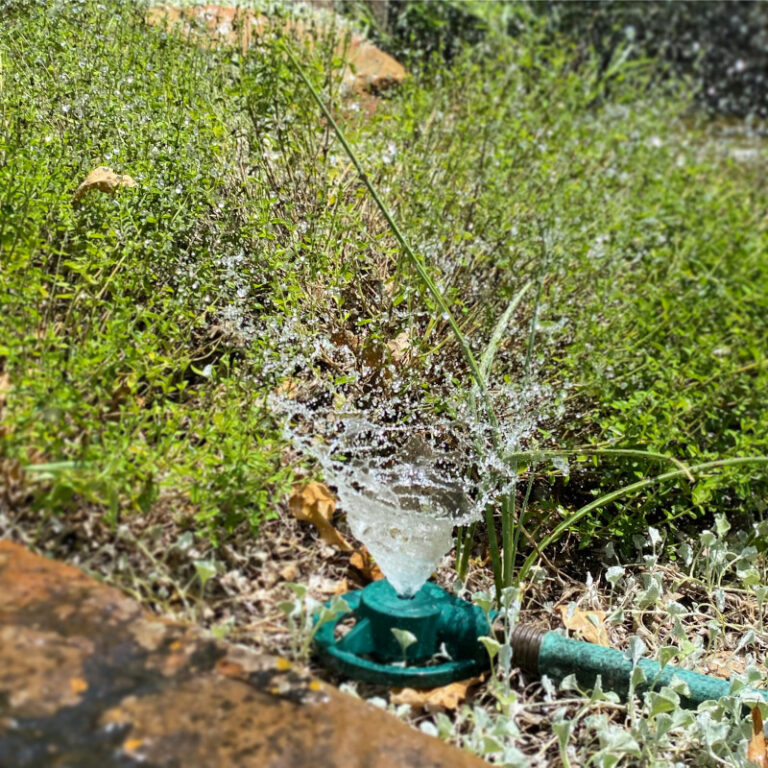 Watering Guide for Central Texas - Hill Country Water Gardens & Nursery