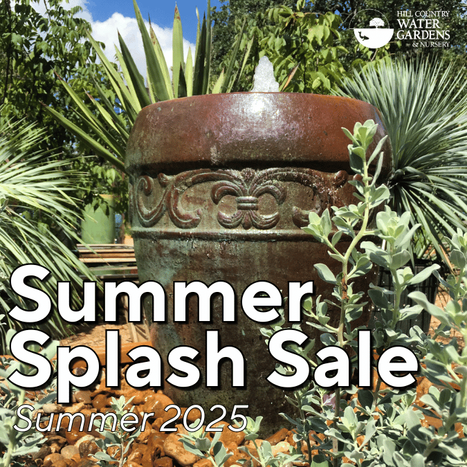 HCWG Weekly Specials & Deals - Hill Country Water Gardens & Nursery